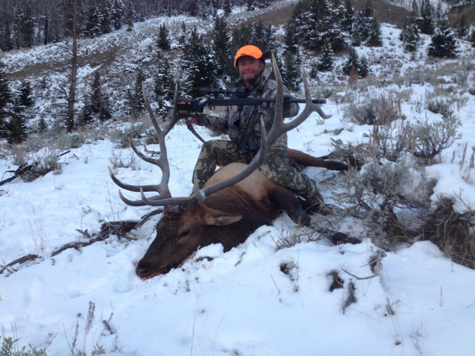 Elk Hunts - 307 Outfitters in Cody Wyoming