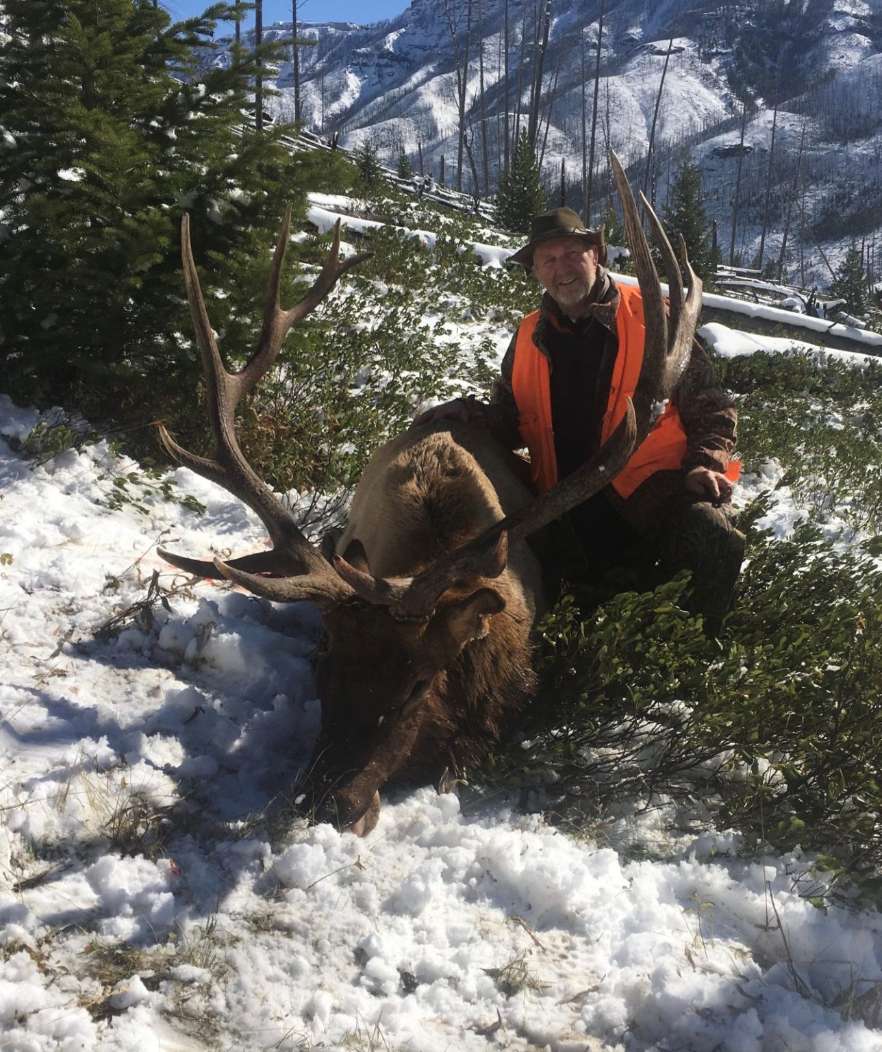 Elk Hunts - 307 Outfitters in Cody Wyoming